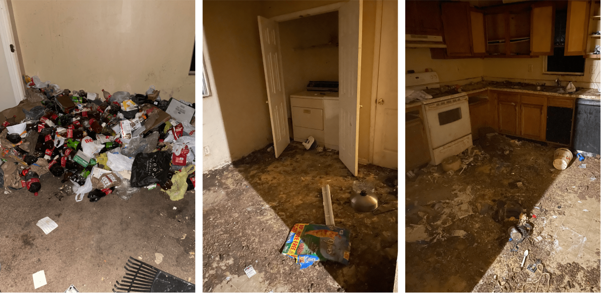 The “R” Group – Veterinarians to the Rescue